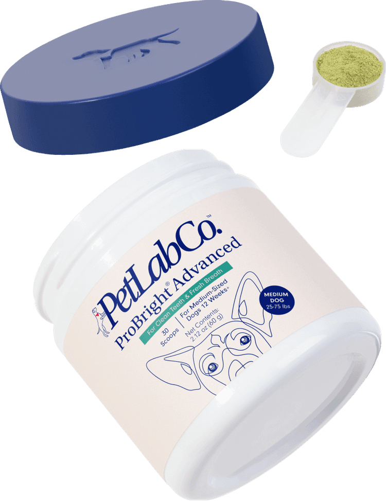 PetLab Co: America's #1 Dog Dental Powder, Probiotic Chew & More