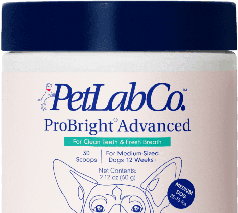 PetLab Co: America's #1 Dog Dental Powder, Probiotic Chew & More