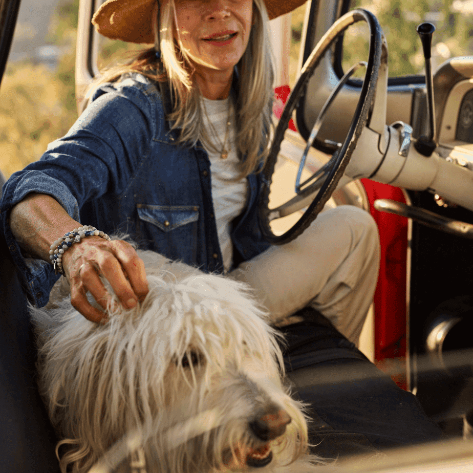 PetLab Co: America's #1 Dog Dental Powder, Probiotic Chew & More