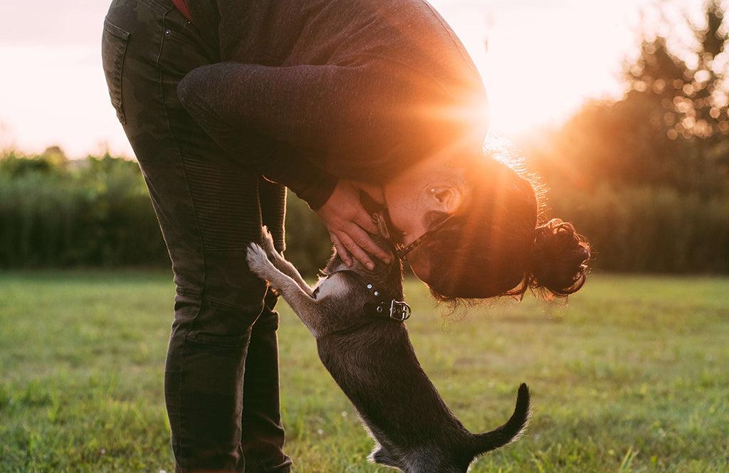 Does My Dog Love Me? 10 Ways Your Dog Is Saying "I Love You"! - PetLab Co