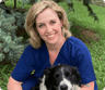 Pododermatitis In Dogs: From Symptoms To Treatment - PetLab Co