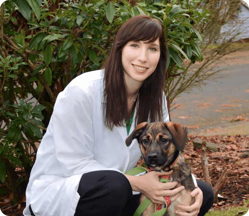 Dog Tail Positions Explained: What Is Your Pup Telling You? - PetLab Co