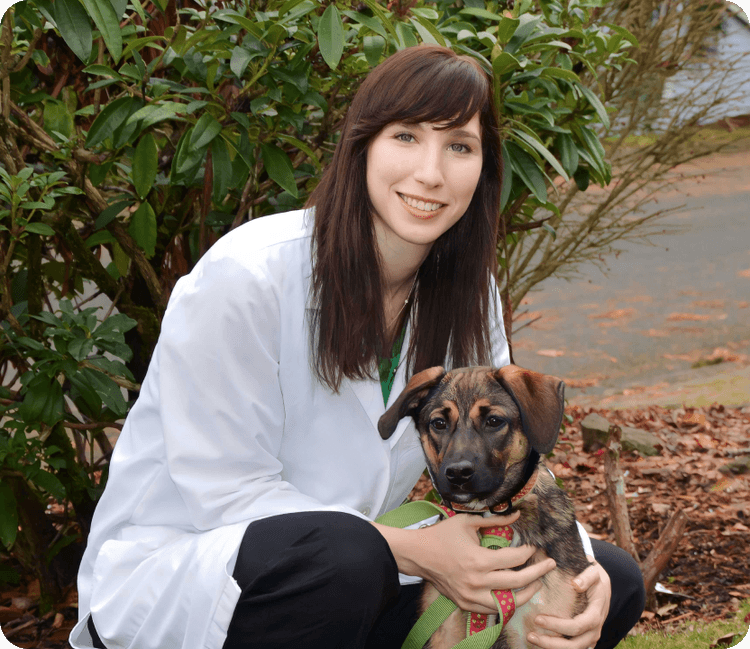 Dog Tail Positions Explained: What Is Your Pup Telling You? - PetLab Co