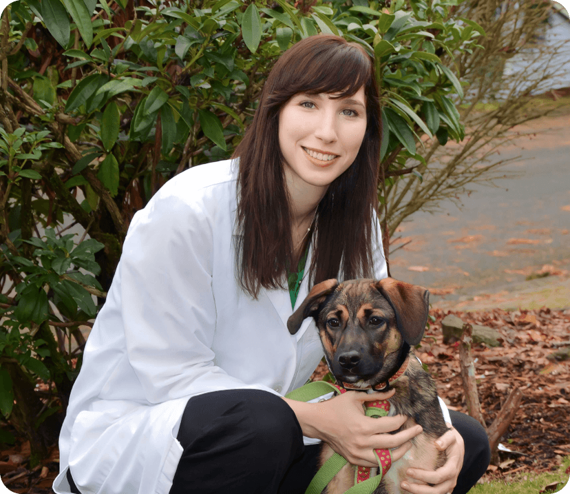 Dog Straining To Poop: 8 Common Reasons & How To Help