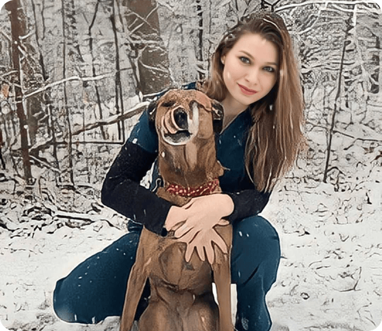 Pododermatitis In Dogs: From Symptoms To Treatment - PetLab Co