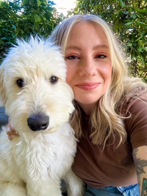 Great Dane Lifespan: 6 Tips to Help Great Danes Live Longer - PetLab Co