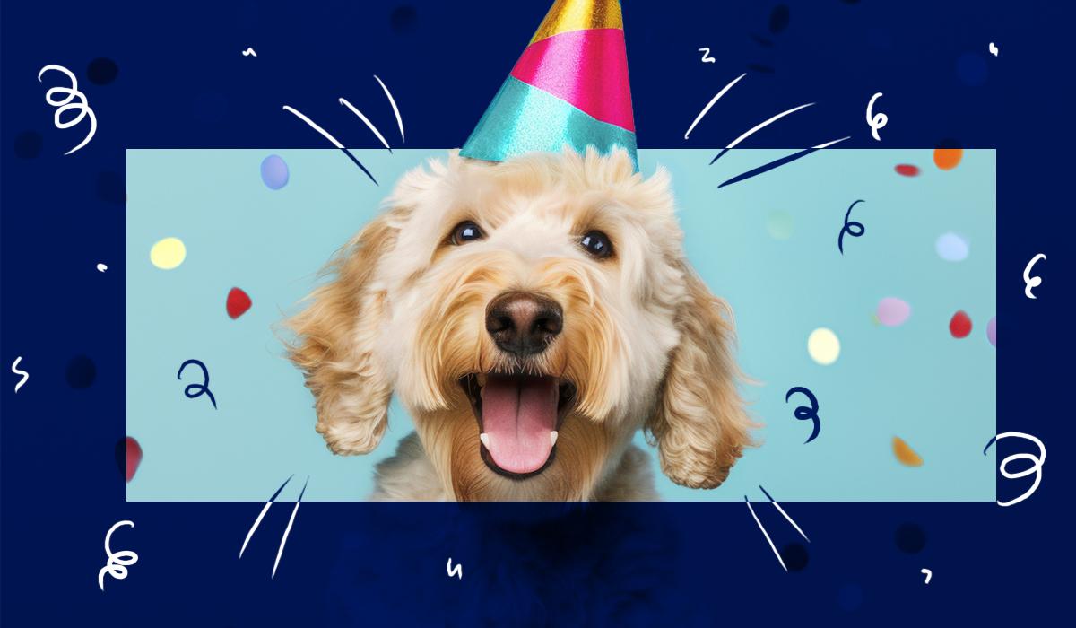 10 Creative Dog Birthday Ideas for a Special Celebration - PetLab Co