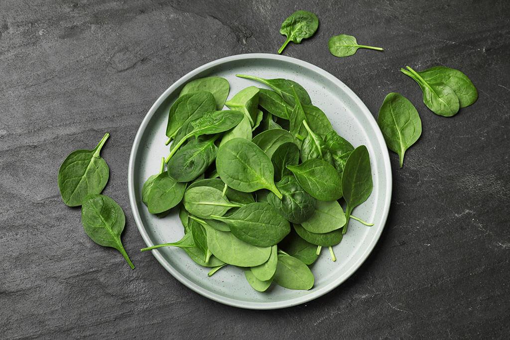 Can Dogs Eat Spinach? Everything You Need To Know - PetLab Co