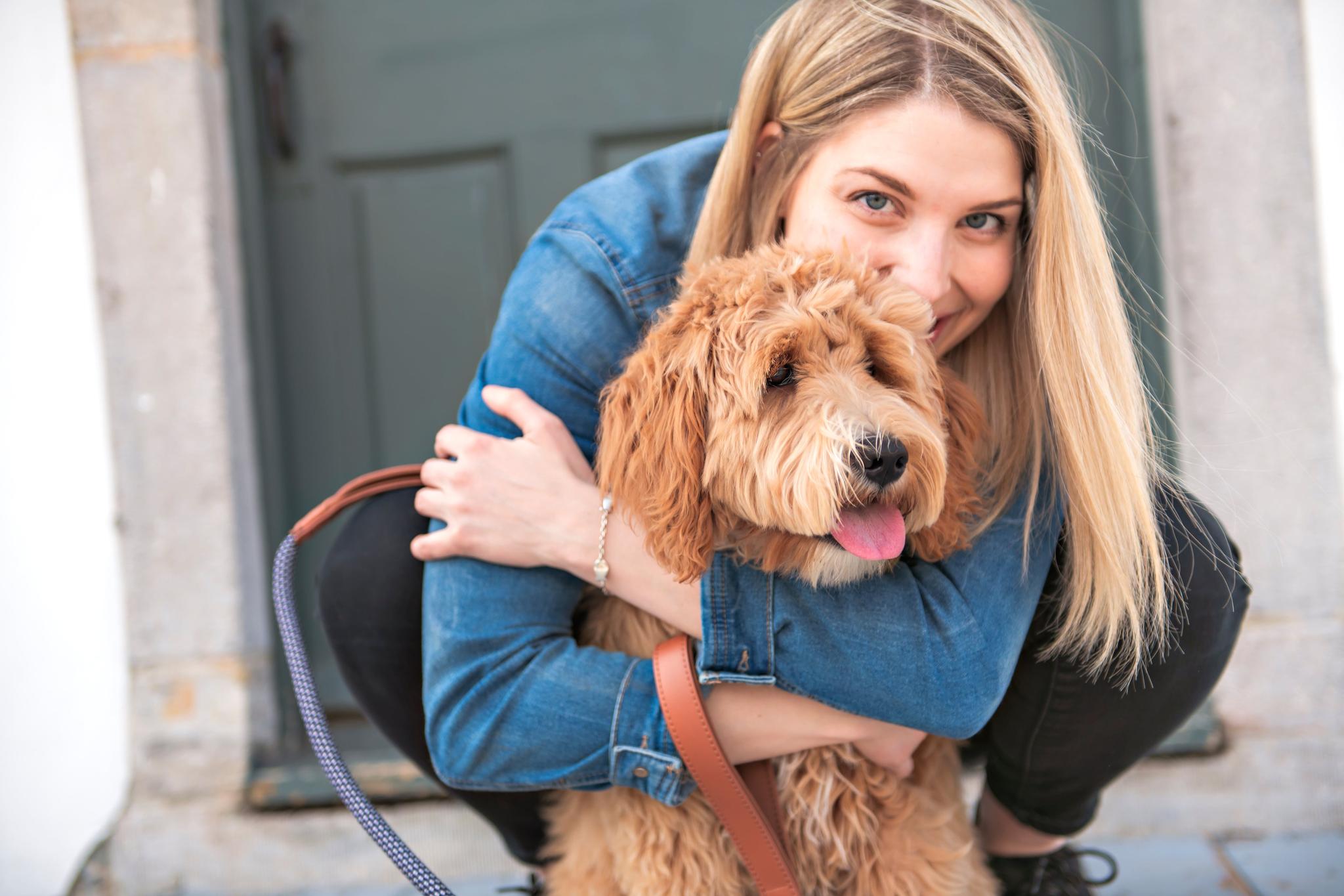 Dog Daily Care Guide - Printable Dog Daily Routine Chart