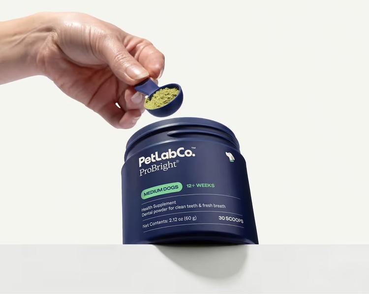 Is PetLabCo. ProBright Advanced Easy To Use? - PetLabCo.